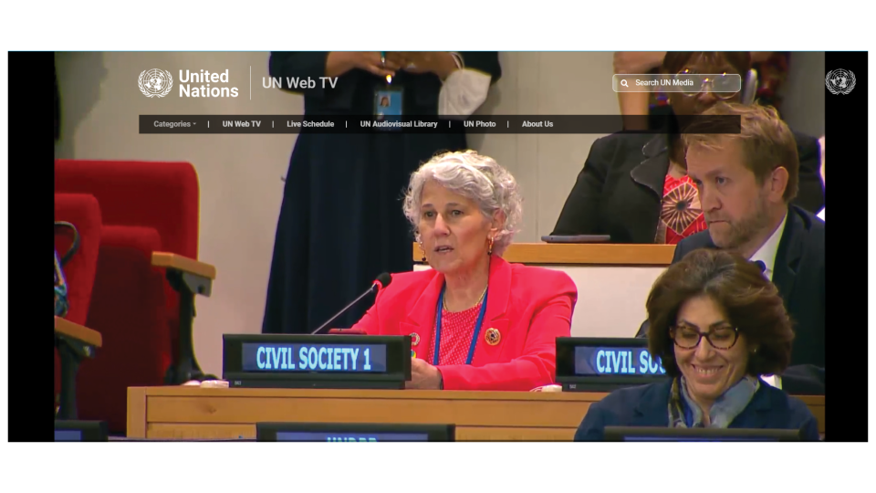 ICN President calls for resilient health systems at UN High Level ...