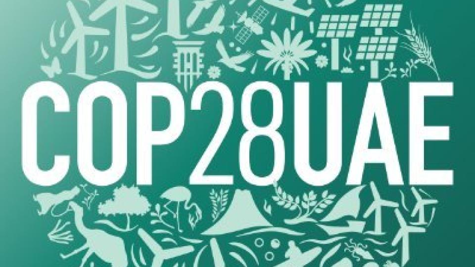 ICN’s key messages on climate change and health echoed in COP28’s ...